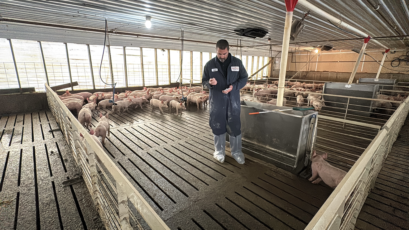 Five Star Cooperative supports swine feed site management