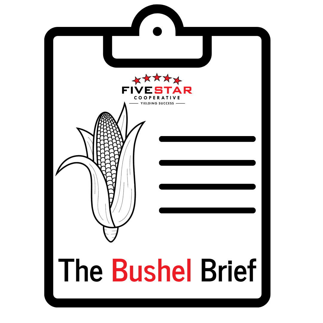 Grain Market Insights - The Bushel Brief | Five Star Co-op